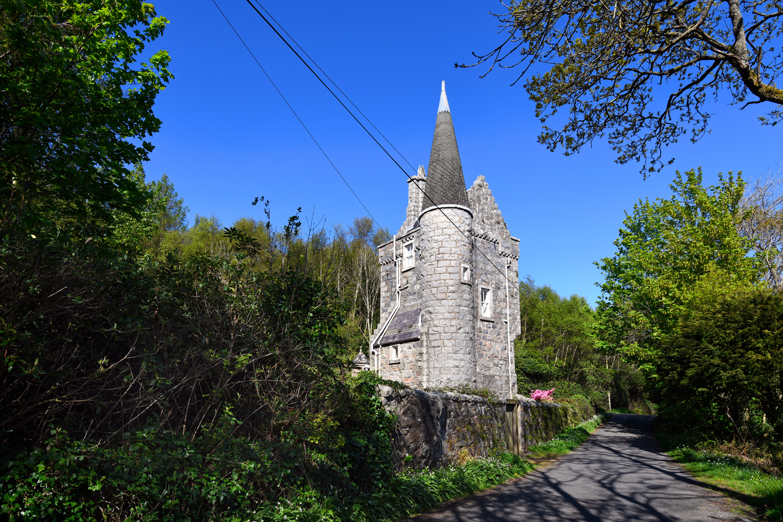 Tower Lodge - Auchencairn House